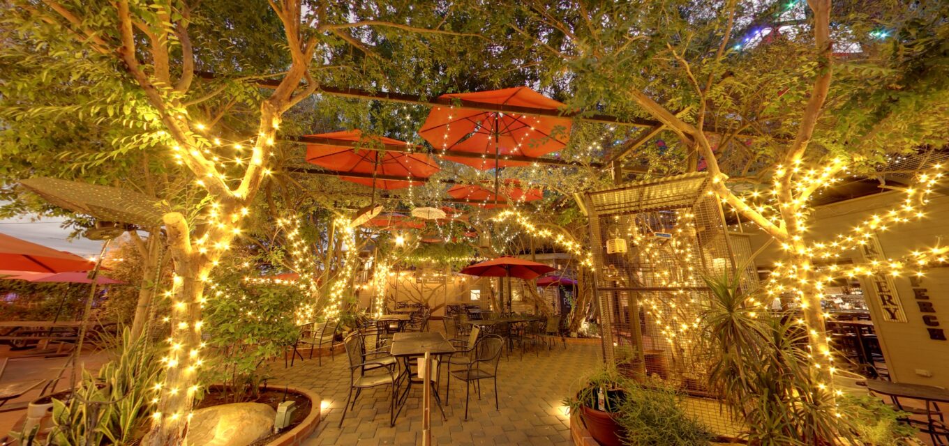 Craft Beers & Birds - The Perch Brewery in Downtown Chandler