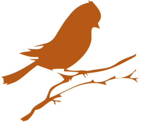Craft Beers & Birds - The Perch Brewery in Downtown Chandler